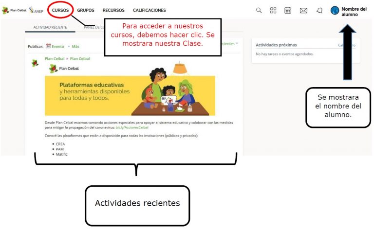 Plan Ceibal plataforma Crea 2: ¿Cómo ingresar? - Trámites y Consultas